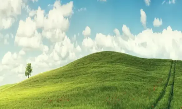 Land Owner Resources Maximize Your Property's Potential | SNN Raj Corp